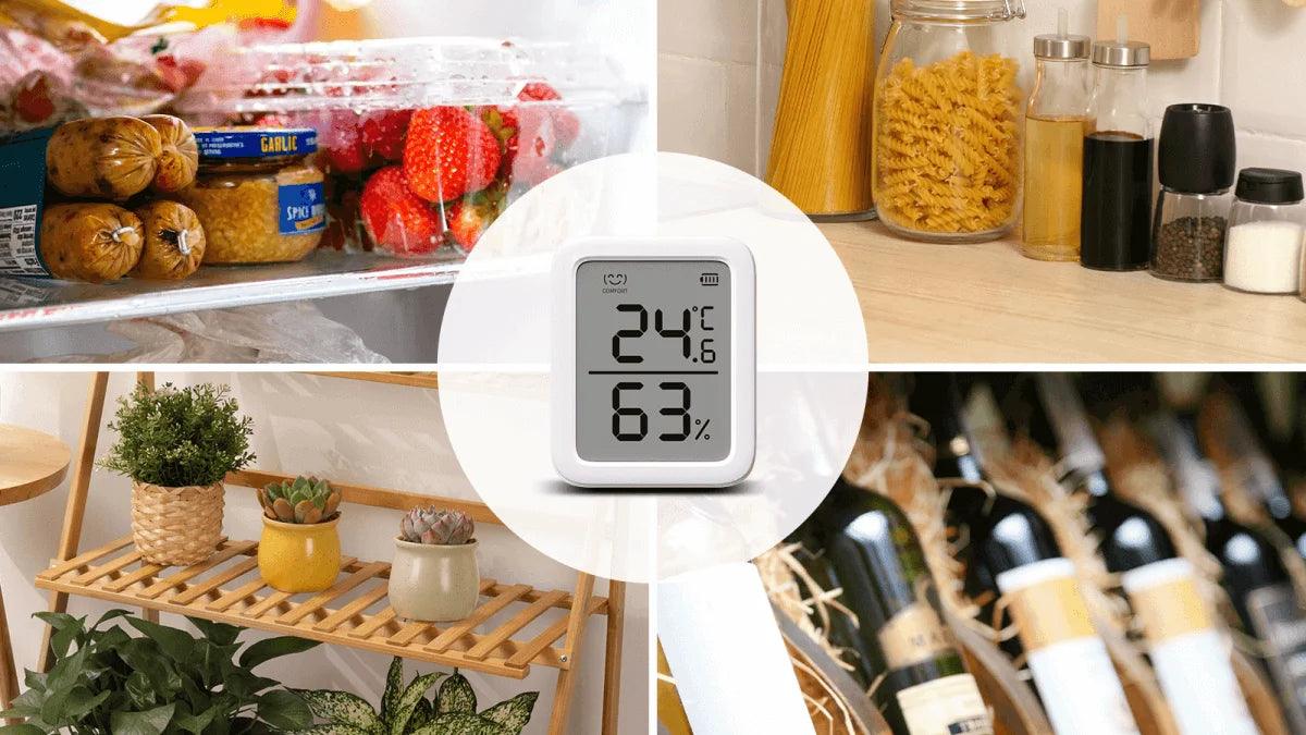 Thermo-hygrometer vs. moisture meter: understanding the differences an ...